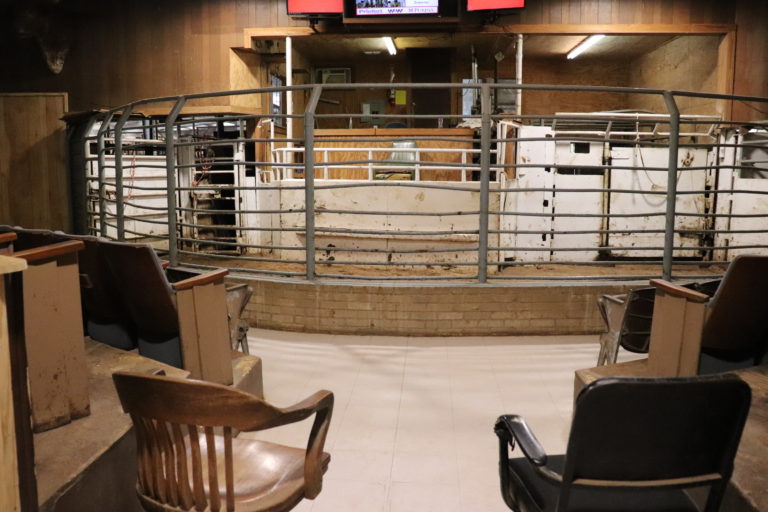 Tips for Understanding a Livestock Auctioneer - Texas Farm & Ranch ...